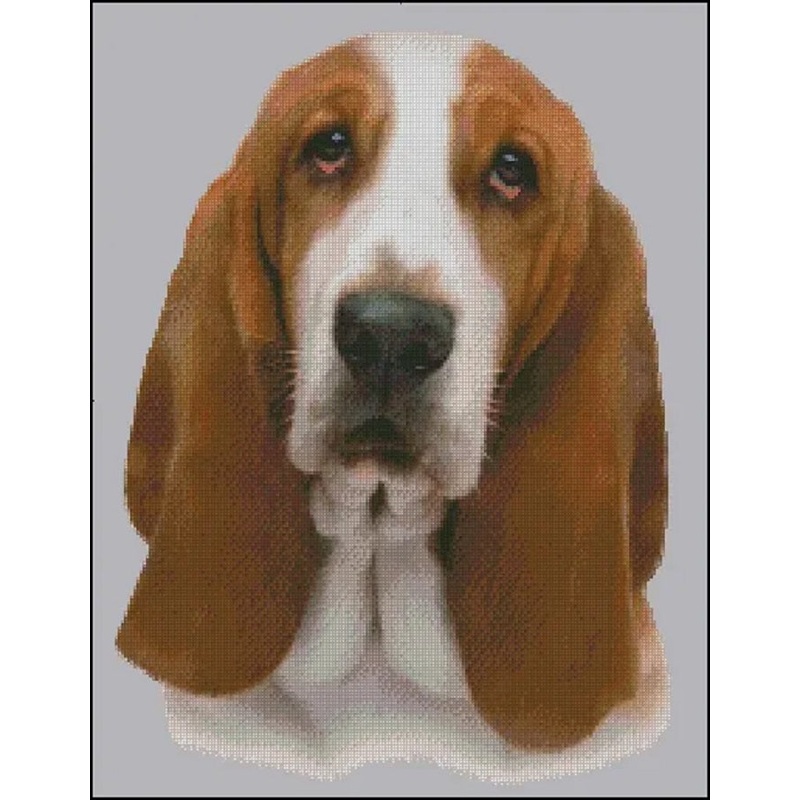 Basset Hound pattern - Optic Avenue Capture Life's Moments Perfectly